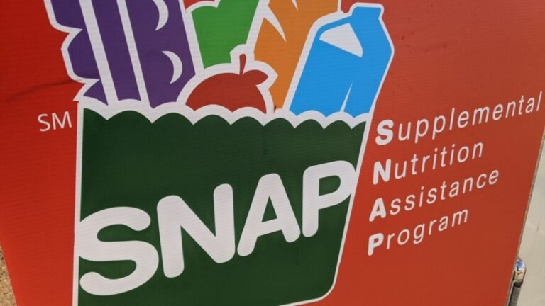 SNAP Work Requirements 2025, Adults Need 80 Hours a Month to Keep ...